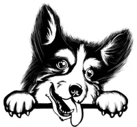 八哥B8G | 已发布 - MakerWorld